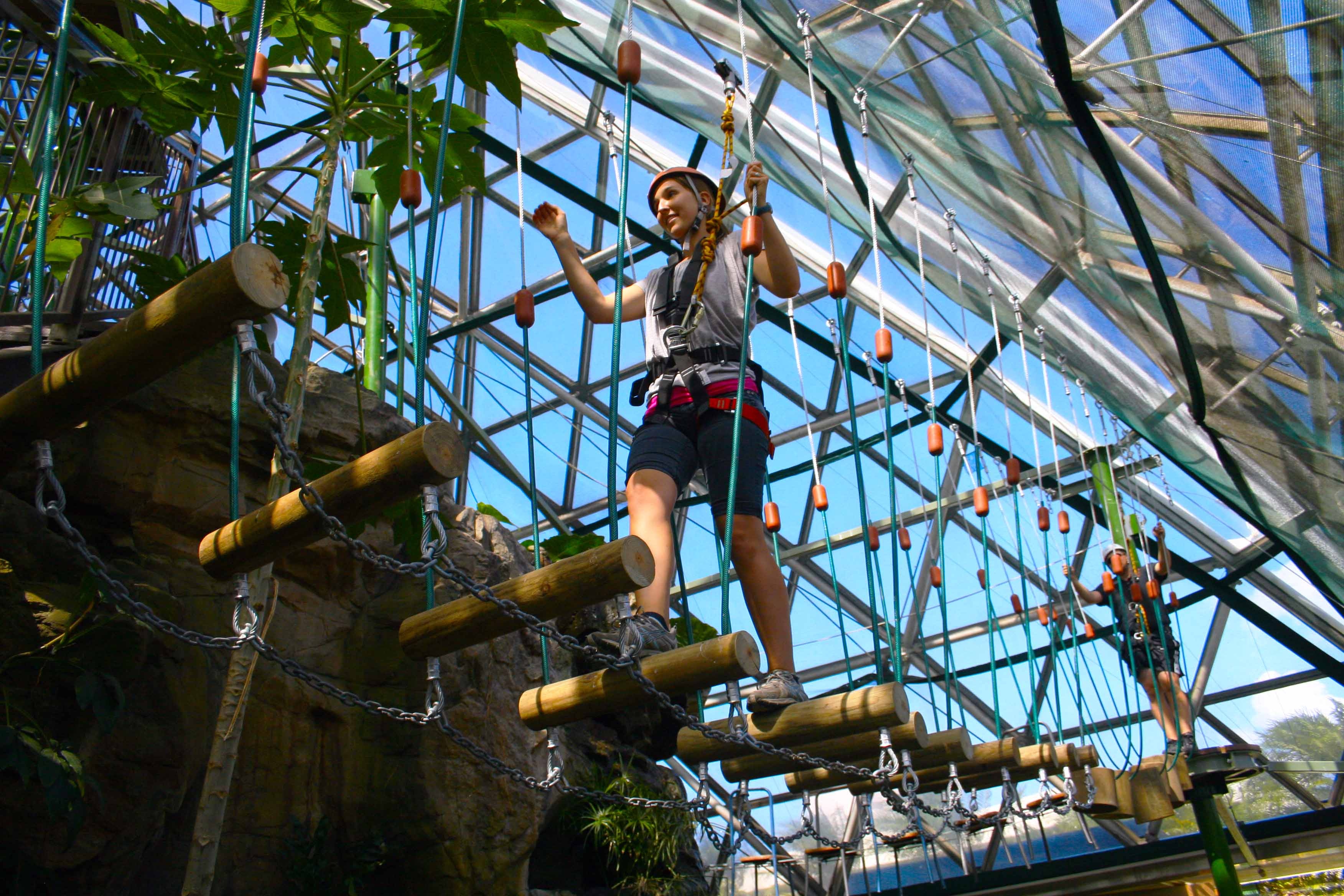Cairns ZOOM & Wildlife Dome - Cairns - Tourism Town - Find & book ...