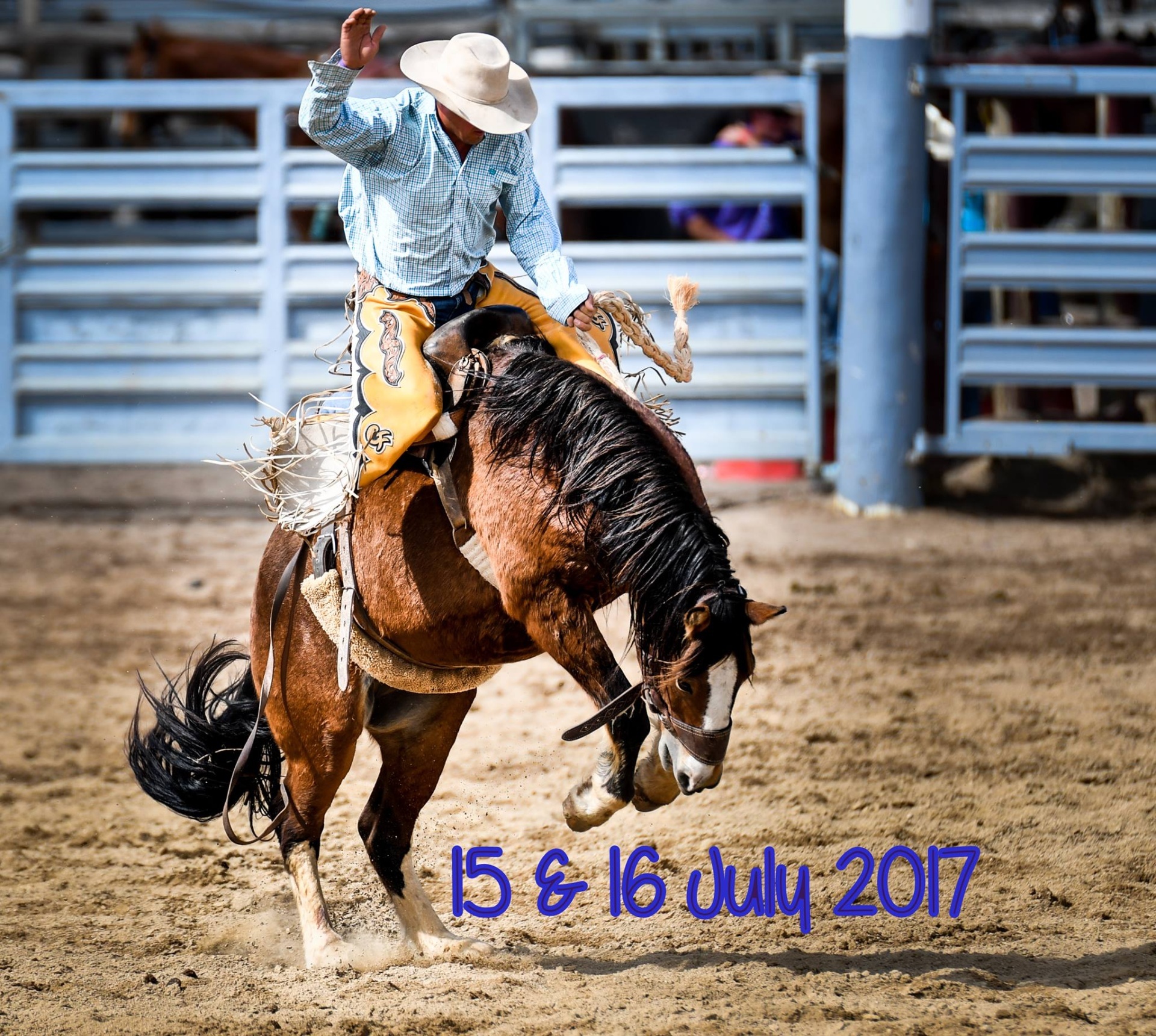 Mareeba Rodeo - Cairns - Tourism Town - Find & book authentic ...
